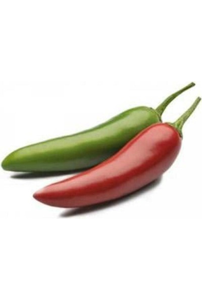 Tohum Dünyam Ithal Jalapeno Kırmızı Acı Meksika Biberi Tohumu 5 Adet Tohum Tohum Dünyam Ithal Jalapeno Kırmızı Acı Meksika Biberi Tohumu 5 Adet Tohum
