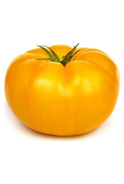 Tohum Dünyam Nadir Dev Italyan Sarı Pileli Domates Tohumu 5 Tohum Tohum Dünyam Nadir Dev Italyan Sarı Pileli Domates Tohumu 5 Tohum