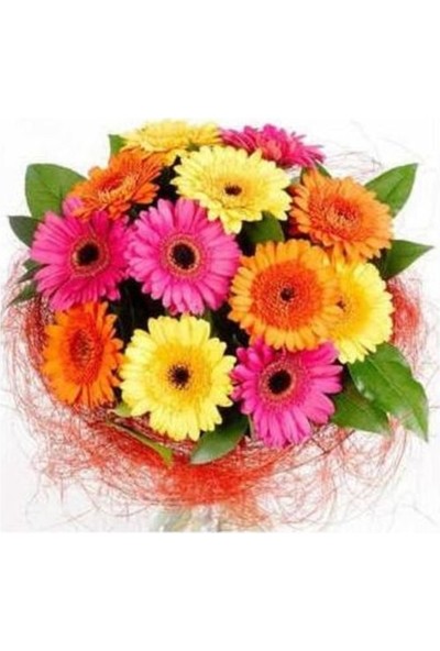 Tohum Dünyam Nadir Karışık Gerbera Çiçeği Tohumu 5 Tohum Çiçek Tohumu Tohum Dünyam Nadir Karışık Gerbera Çiçeği Tohumu 5 Tohum Çiçek Tohumu