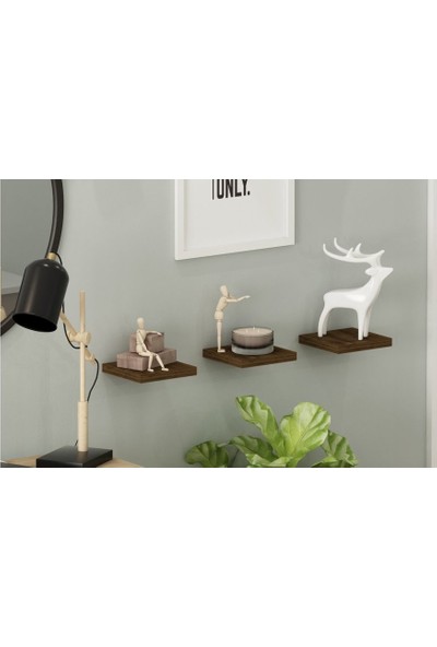 Givayo Moon Duvar Rafı 3'lü Uçan Raf Ceviz