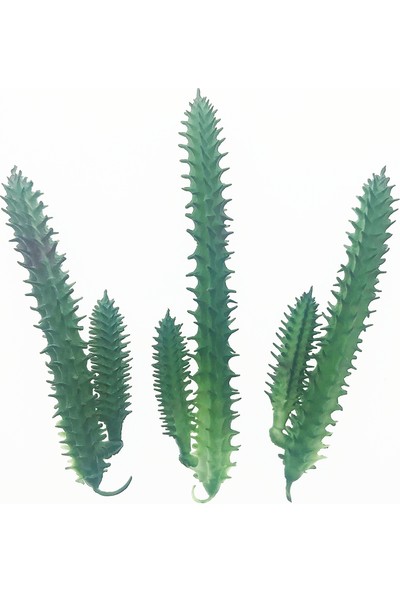 hobi24 Maket Kaktüs 3lü