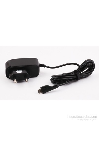 Megatech Mt-302 G810 Travel Şarj Aleti