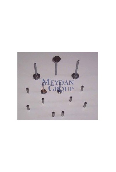 Mitsubishi L300- Minibüs- 88/97 Egzost Supapı 2.5Cc Mitsubishi L300- Minibüs- 88/97 Egzost Supapı 2.5Cc