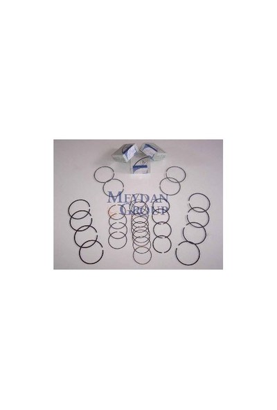 Nıssan Pıck Up- D22- 97/02 Segman Std 30Pin 2.7Cc Nıssan Pıck Up- D22- 97/02 Segman Std 30Pin 2.7Cc
