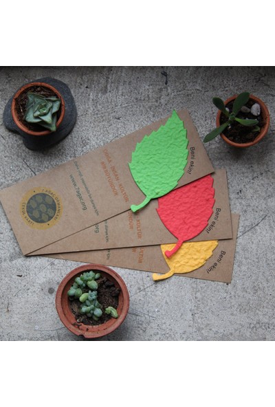 Çekül Vakfı Tohum Ayıraç - Yaprak Tohum Çekül Vakfı Tohum Ayıraç - Yaprak Tohum