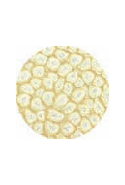 Pebeo Fantasy Prisme Efekt Boyası 20 Eggshell White Pebeo Fantasy Prisme Efekt Boyası 20 Eggshell White