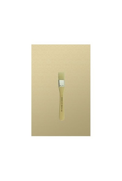 Cadence 8009 Ekonomik Zemin Fırçası No:1