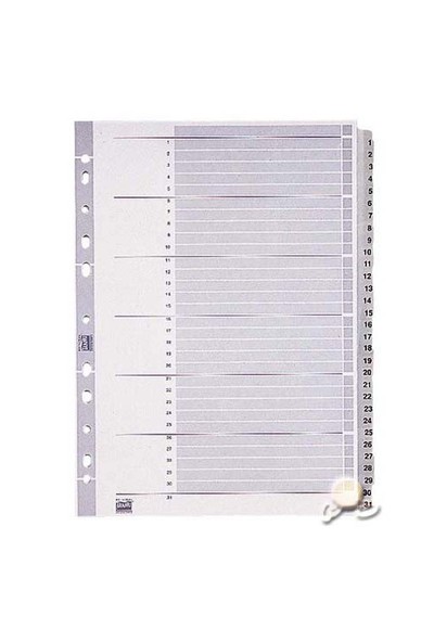 Esselte Separatör A4 1-31 Rakam Gri 100108 Esselte Separatör A4 1-31 Rakam Gri 100108