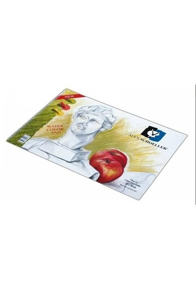 Alex Resim Defteri 50X70 Spr. 120 Gr 20 Yp