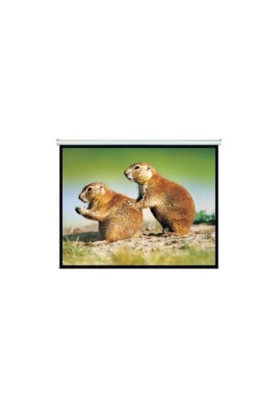 Everest PSEB96 (1.80 x 1.80 cm) Storlu Projeksiyon Perdesi Everest PSEB96 (1.80 x 1.80 cm) Storlu Projeksiyon Perdesi