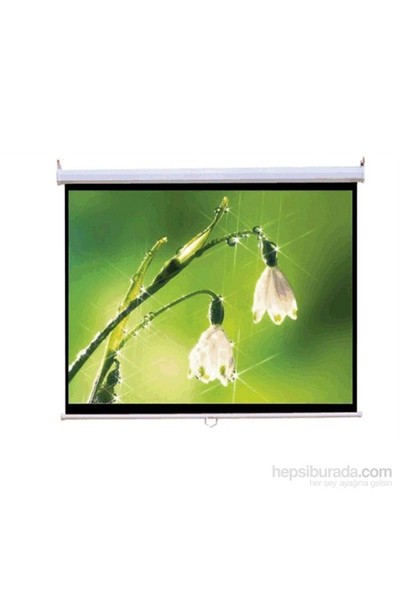 Everest Pseb90 180X180 Ters Projeksiyon Perdesi Everest Pseb90 180X180 Ters Projeksiyon Perdesi