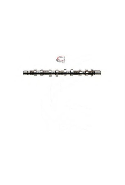 Maıs 8200100527 (130205358R) Eksantrık Mılı Emme Mgn 1.4-1.6 16V (K4m-K4j) *C