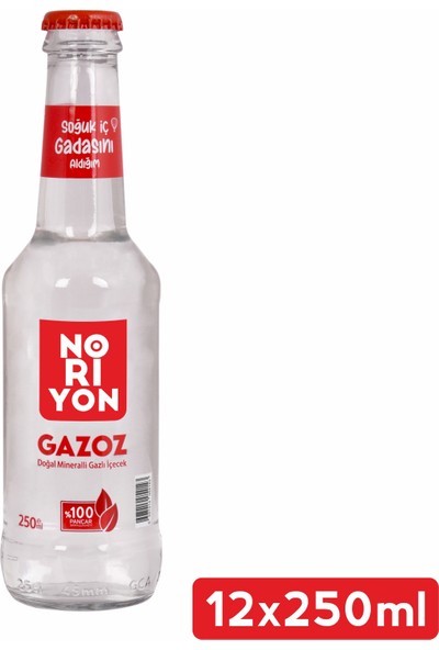 Noriyon Gazoz - 12 Adet
