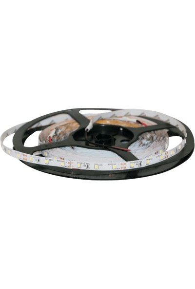Hero Led 2835 Tek Çipli Iç Mekan Şerit LED 5 Metre (Gün Işığı) Hero Led 2835 Tek Çipli Iç Mekan Şerit LED 5 Metre (Gün Işığı)