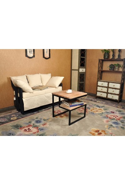 Abronya Orta Sehpa Doğal Ahşaplı Yan Sehpa Iki Katlı Sehpa Modeli Kütük Sehpa