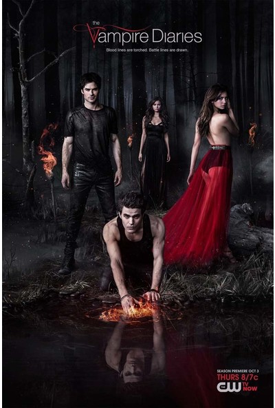 Aktuel Accessories The Vampire Diaries (2009) 70 cm x 100 cm Afiş – Poster Maıcon