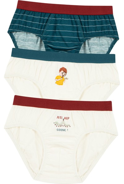 Penti Çok Renkli Erkek Çocuk Backyard 3lü Slip Külot Penti Çok Renkli Erkek Çocuk Backyard 3lü Slip Külot