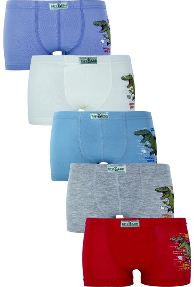 Biyokids Erkek Çocuk Boxer 5'li Paket Karışık Renk Baskılı Boxer BYO2563 Biyokids Erkek Çocuk Boxer 5'li Paket Karışık Renk Baskılı Boxer BYO2563