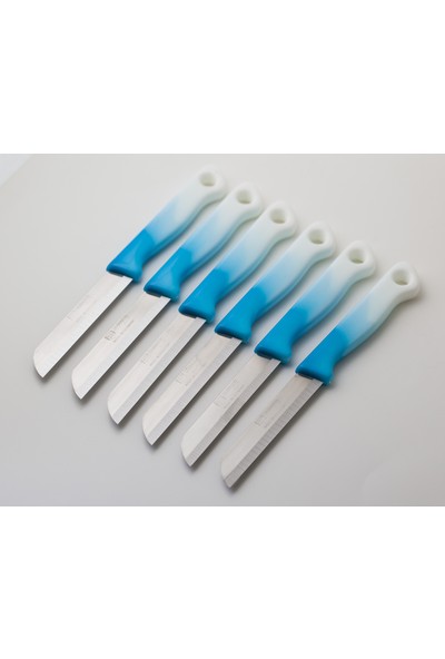 Solingen Meyve Sebze Bıçağı 6 Adet (1.kalite,tırtıksız) Solingen Meyve Sebze Bıçağı 6 Adet (1.kalite,tırtıksız)