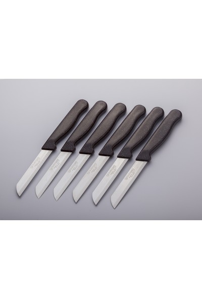 Solingen Meyve Sebze Bıçağı 6 Adet Simli Desen (1.kalite,tırtıklı) Solingen Meyve Sebze Bıçağı 6 Adet Simli Desen (1.kalite,tırtıklı)