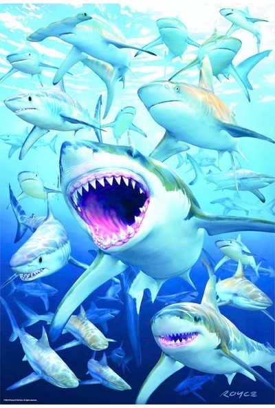 Art Puzzle Educa Puzzle Shark Club 500 Parça Yapılmış Puzzle Art Puzzle Educa Puzzle Shark Club 500 Parça Yapılmış Puzzle