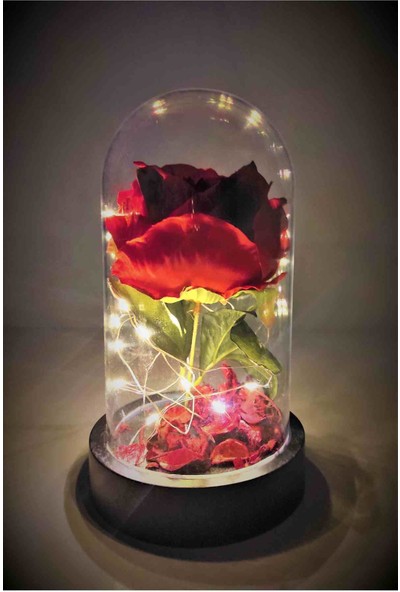 Yüksel Hediyelik Ters Fanus Tek Gül Işıklı Teraryum Yıldönümü-Doğum Günü Hediyesiv