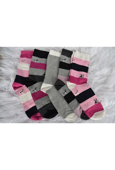 Airsocks 5 Çift Kadın Köpek Desenli Renkli Soket Çorap