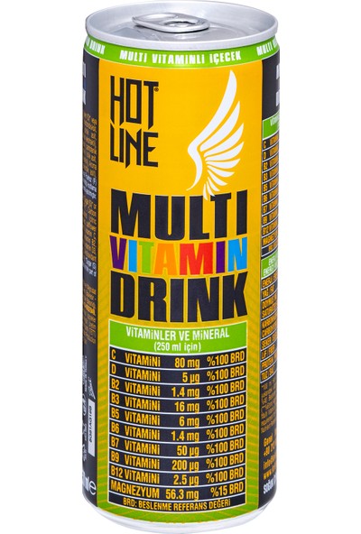 Hotline Multivitamin İçeceği 24 x 250 ml