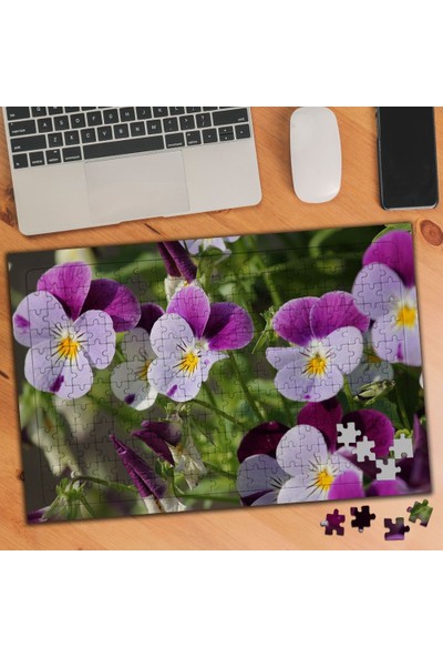Asilmeydan Mor Menekşeler 240 Parça Puzzle YAPBOZ-3401542