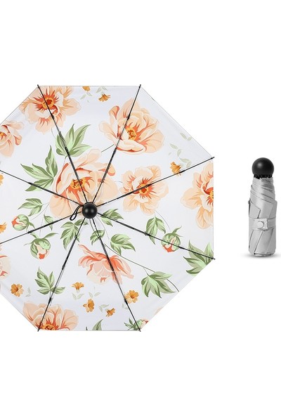 Xhome Şemsiye (Yurt Dışından)