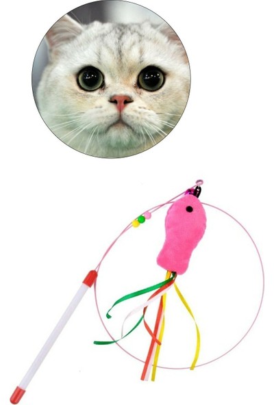 Pratik Mağazam Kedi Oyun Oltası 90 cm Pratik Mağazam Kedi Oyun Oltası 90 cm