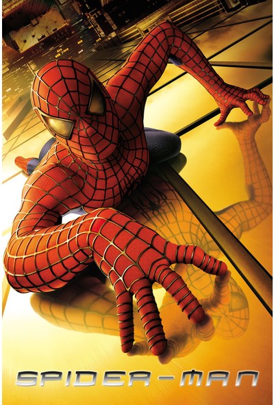 Aktuel Accessories Spider-Man (2002) 50 x 70 Poster Gdonemet