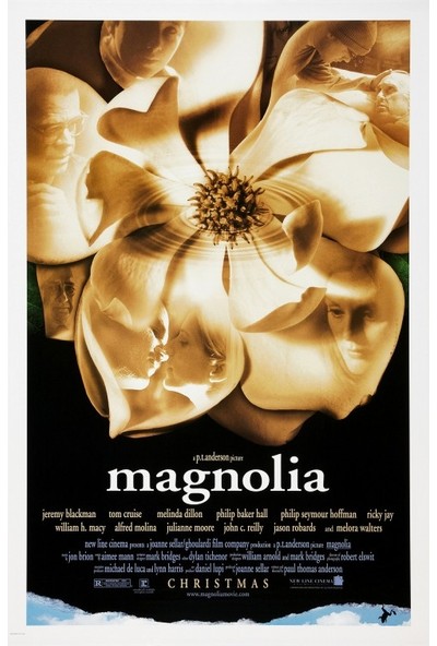 Aktuel Accessories Magnolia (1999) 35 x 50 Poster Mkoysdreyt