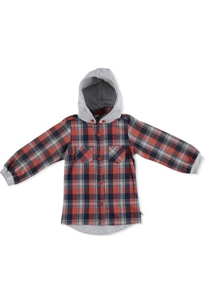 Babyz Ayıcık Pamuklu Uzun Kol Polo Yaka Tek Gömlek