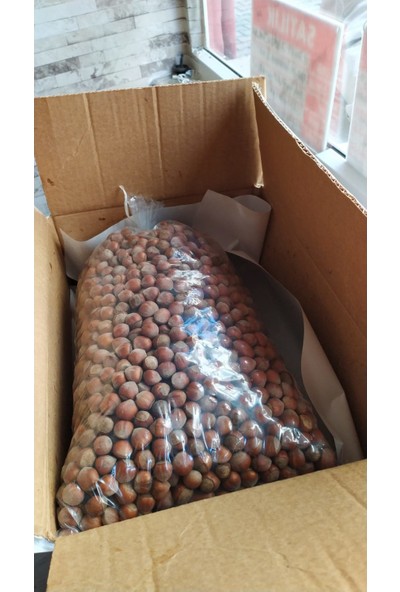 Katu Store Fındık Giresun Kabuklu Çiğ Fındık 3 kg Katu Store Fındık Giresun Kabuklu Çiğ Fındık 3 kg