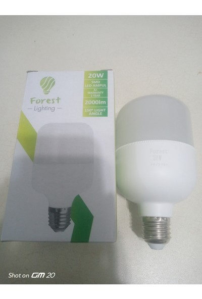 Forest LED Ampul 20W