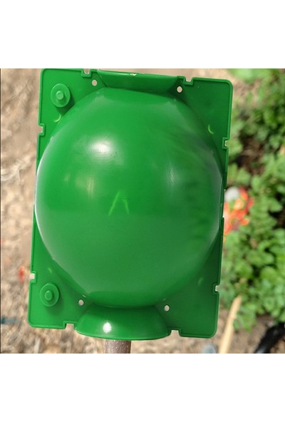 Via Gardenia Bitki Köklendirme Topu Orta Boy Yeşil 1 Adet