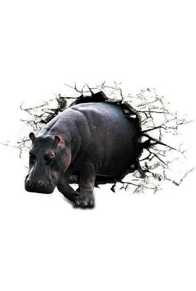 Hong Store 3D Hayvan Hippo Pvc Duvar Stickerı (Yurt Dışından) Hong Store 3D Hayvan Hippo Pvc Duvar Stickerı (Yurt Dışından)