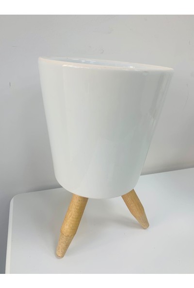 Bi Kaktüs Dünyası Ayaklı Saksı