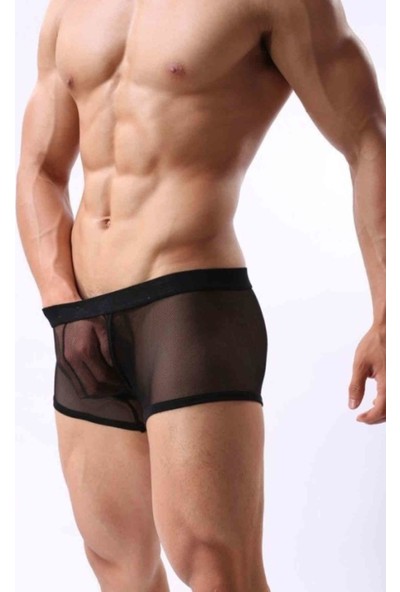 Fiyonkx Erkek Fantezi Siyah Transparan Erkek Boxer 7482 Fiyonkx Erkek Fantezi Siyah Transparan Erkek Boxer 7482