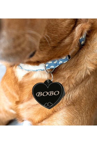 Poshet Store Köpek ve Kedi Dostlarınız Için Pleksi Özel Üretim Künye Isim Künyesi