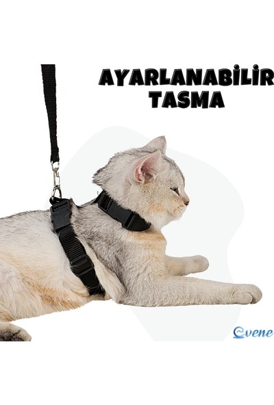 Evene Kedi Tasması Kedi Gögüs Bel Ayarlanabilir Tasma Xz2