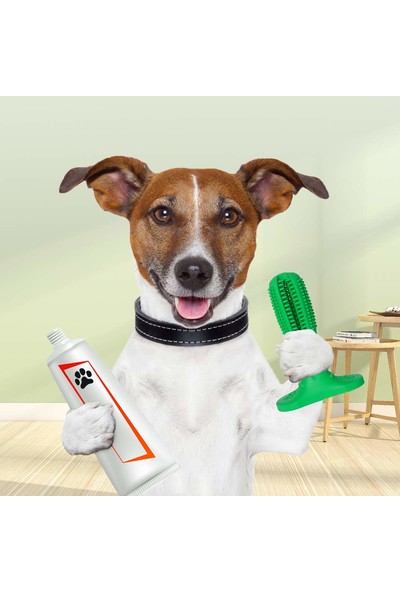 PetZoom Köpek Diş Fırçası Diş Temizleme Oyuncağı Büyük Boy PetZoom Köpek Diş Fırçası Diş Temizleme Oyuncağı Büyük Boy