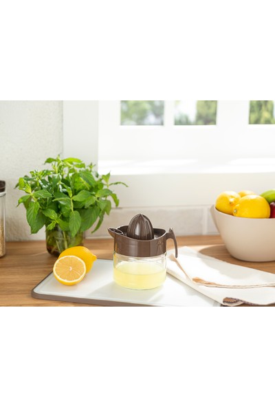 English Home Hera Cam Limon Sıkacağı 300 ml Kahve