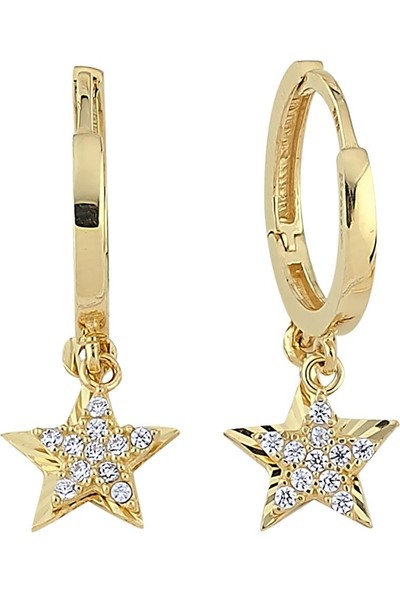 Pirnus Diamond - Küpe - 14 Ayar Altın - Gramı : 2.41