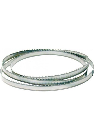 Dewalt DT8481 Bant Testeresi