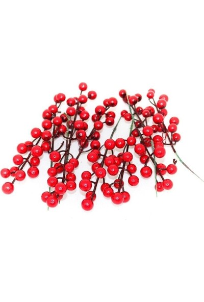 Happyland Kiraz Dalı Yılbaşı Ağacı Süsleme Dekor 10 Adet Kiraz Kiraz Dalı Yılbaşı Ağacı Süsleme Dekor 10 Adet Happyland Kiraz Dalı Yılbaşı Ağacı Süsleme Dekor 10 Adet Kiraz Kiraz Dalı Yılbaşı Ağacı Süsleme Dekor 10 Adet