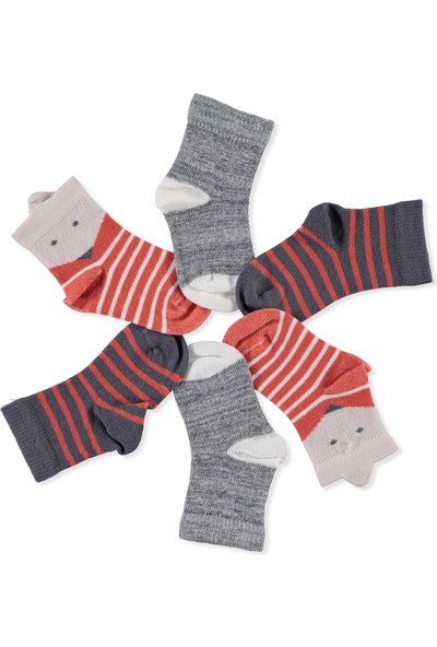 Aziz Bebe Ayıcık 3lü Soket Çorap