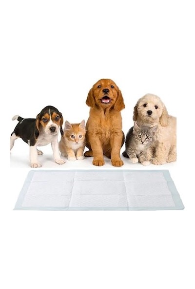 Jender Kedi ve Köpek Çiş Pedi 20 Adet