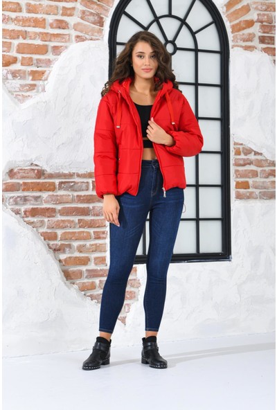 Rodi Kadın Şişme Mont Kısa Kapişonlu DS22KB025117